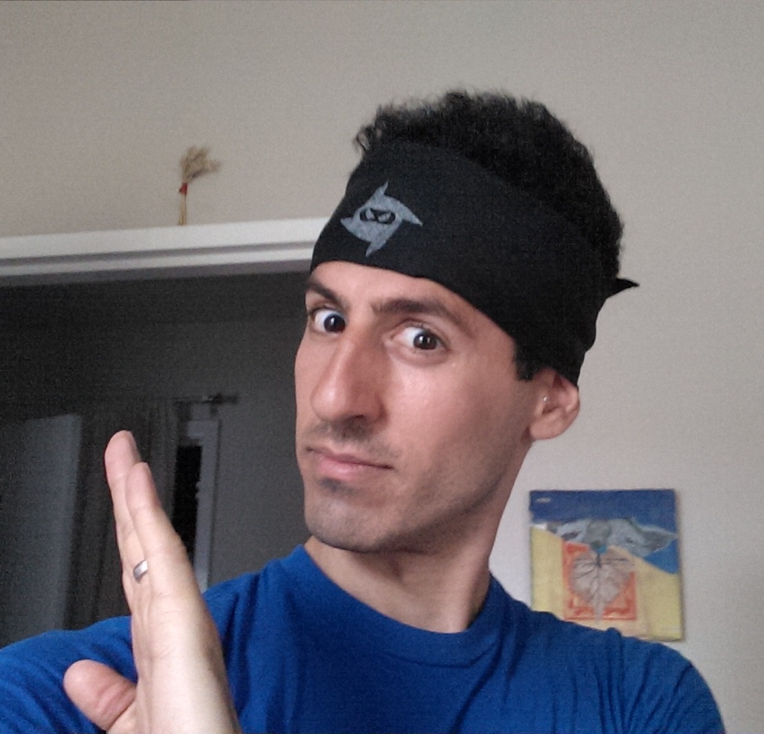 Choose Your Own Real Ninja Adventure - TrainDeep.com